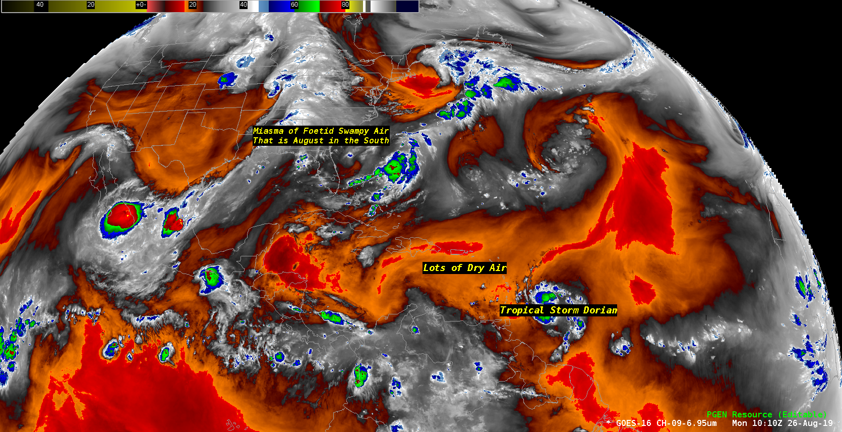 swamp – Enki Research